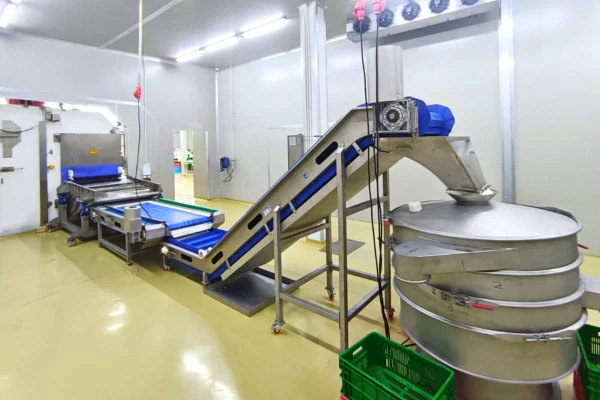 IQF Material Handling System | Frozen Food Equipment